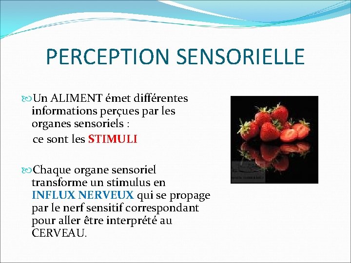 Lanalyse Sensorielle LA VUE LOUE LE TOUCHER LODORAT