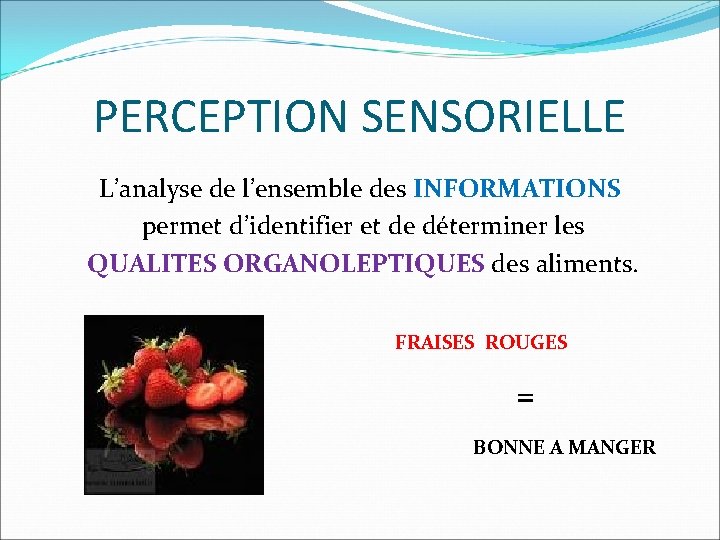 Lanalyse Sensorielle LA VUE LOUE LE TOUCHER LODORAT