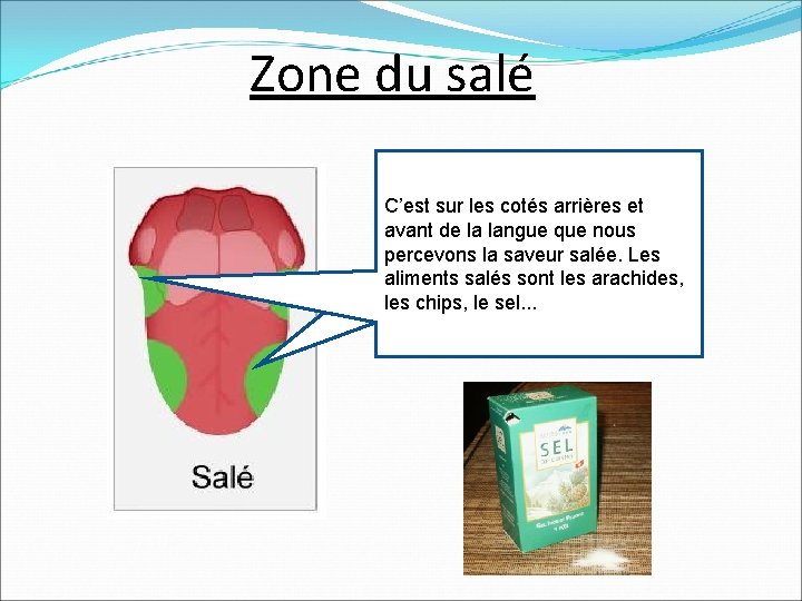 Lanalyse Sensorielle LA VUE LOUE LE TOUCHER LODORAT