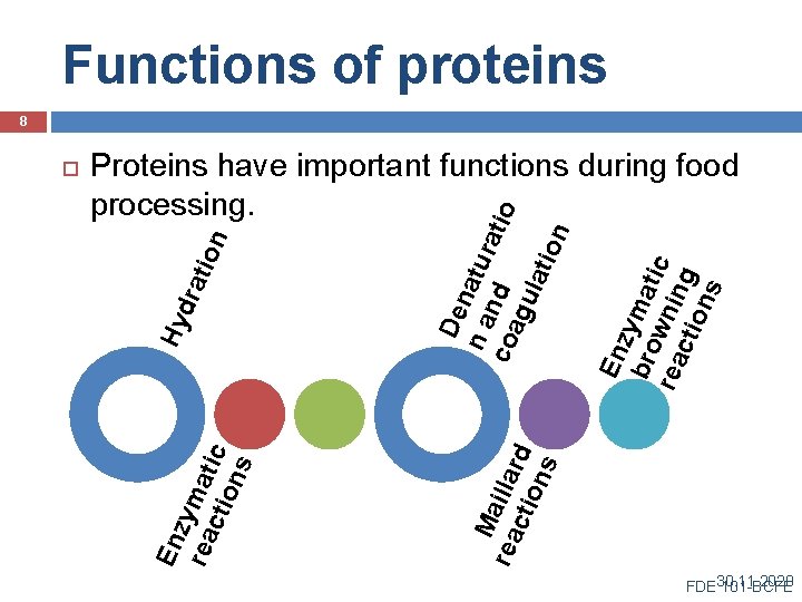 The importance of proteins 1 Proteins are key