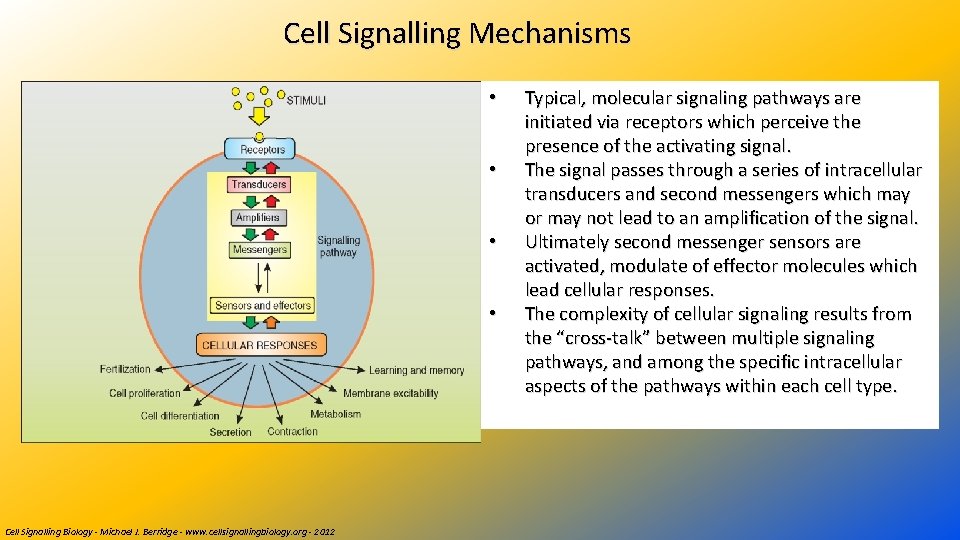Lecture 02 Overview of Signal Transduction Pathways BIOL