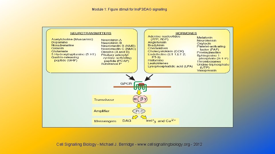 Lecture 02 Overview of Signal Transduction Pathways BIOL