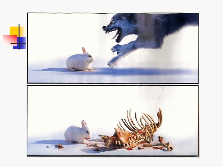 LIQUIDOS Y ELECTROLITOS Jairo Alarcon MD Intensivista Pediatra