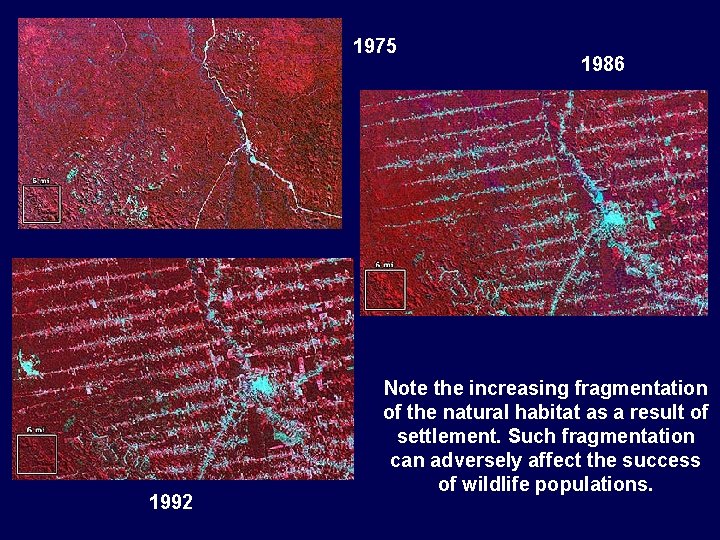Spatial Analysis cont Density Estimation Summary Spatial Statistics