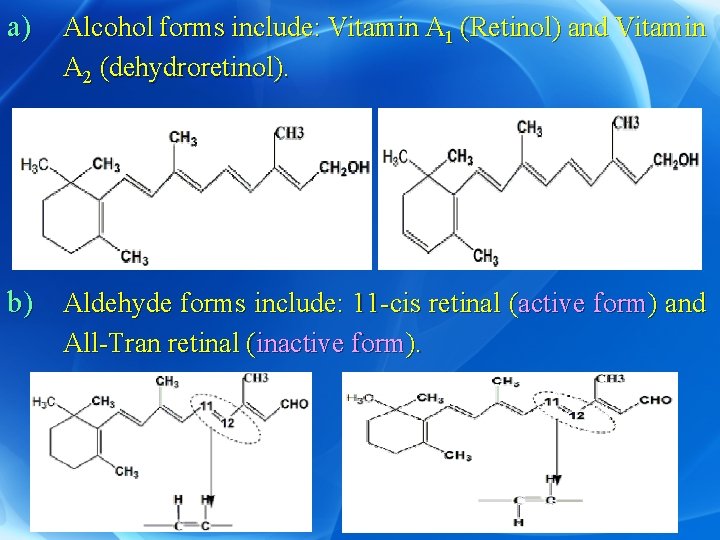 Lecture No 1 Vitamins Dr Obeid Shanab Assistant