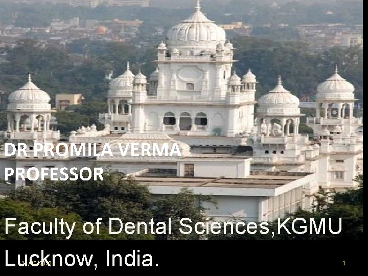 DR PROMILA VERMA PROFESSOR Faculty of Dental Sciences