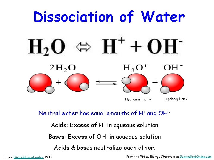 About Science Prof Online Power Point Resources Science
