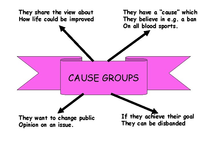 What are pressure groups A pressure group is
