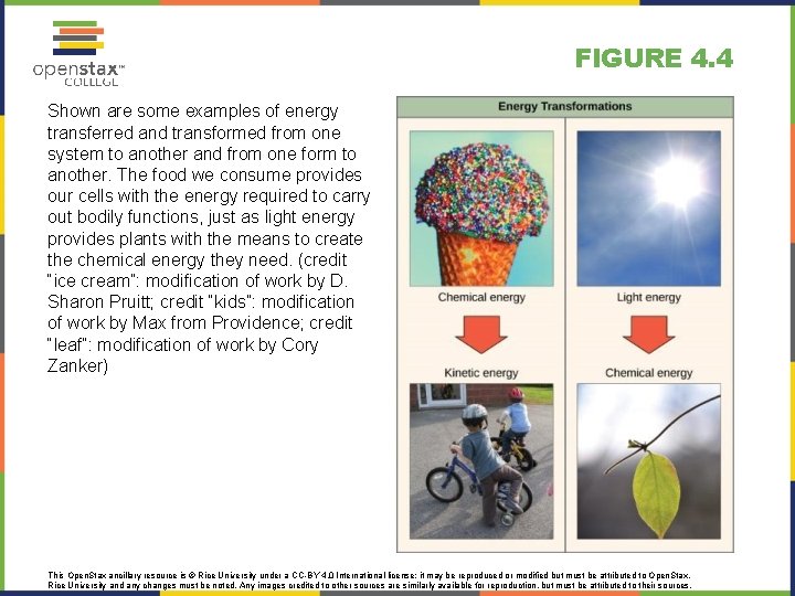 CONCEPTS OF BIOLOGY Chapter 4 HOW CELLS OBTAIN