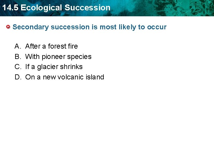 14 5 Ecological Succession KEY CONCEPT Ecological succession