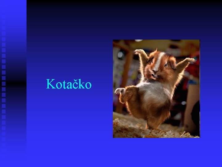 Kotako Programski dio Programski dio softvare Ogre 3