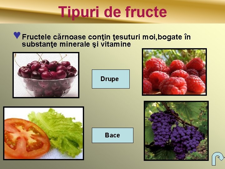 Reproducerea la plante Prof Tertelici Silvia Cuprins 1
