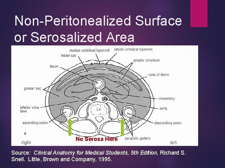 TNM Staging Colon and Rectum TONYA BRANDENBURG MHA