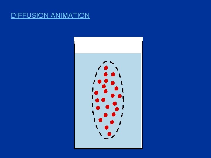 Chapter 7 3 Notes Part 2 Types of