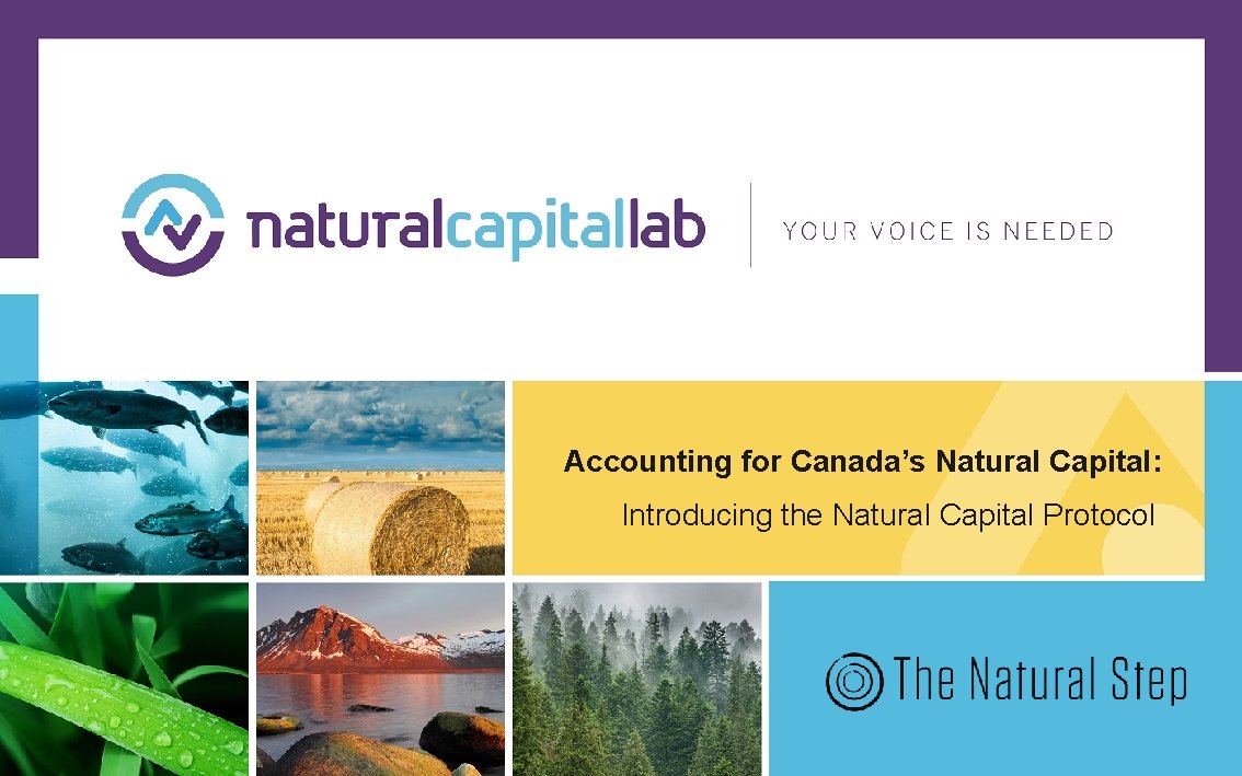 Accounting for Canadas Natural Capital Introducing the Natural