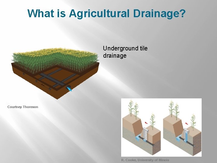 AGRICULTURE Does agricultural drainage affect the Minnesota River