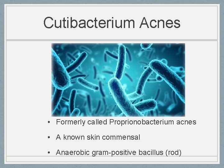 Cutibacterium acnes Why I Care What I Do