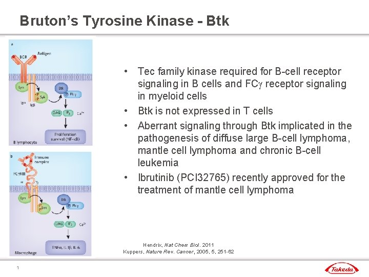 Discovery of a small molecule inhibitor of Burtons