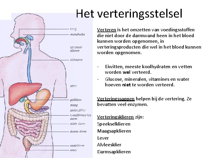 Voeding en vertering 4 VMBO GT Voedselproductie door