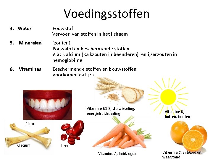 Voeding en vertering 4 VMBO GT Voedselproductie door