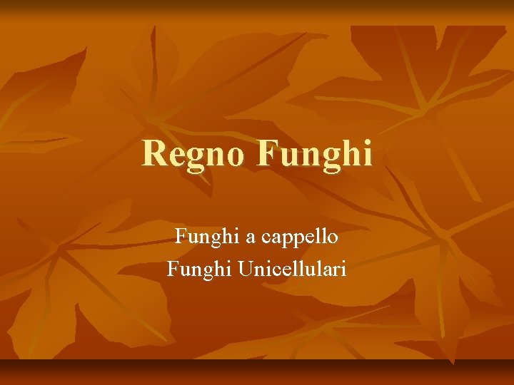 Regno Funghi a cappello Funghi Unicellulari Il Regno