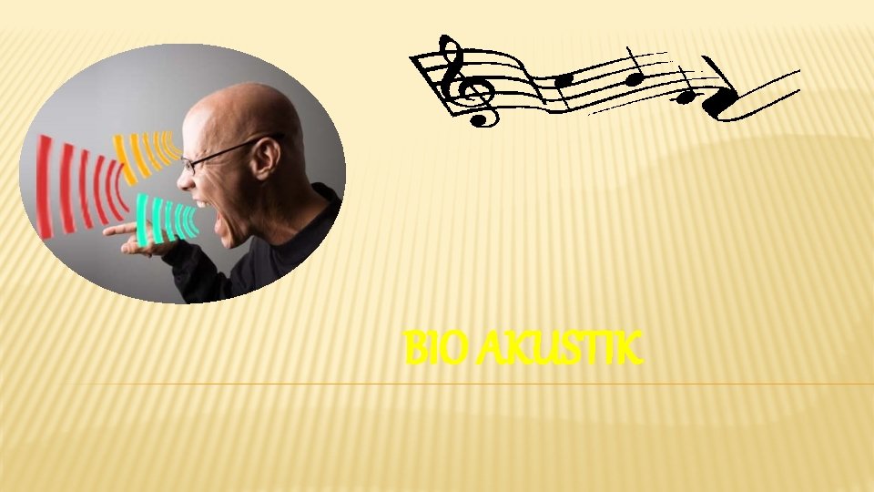 BIO AKUSTIK PENGERTIAN BIOAKUSTIK Bioakustik berasal dari kata