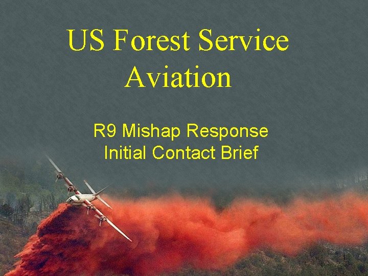 US Forest Service Aviation R 9 Mishap Response