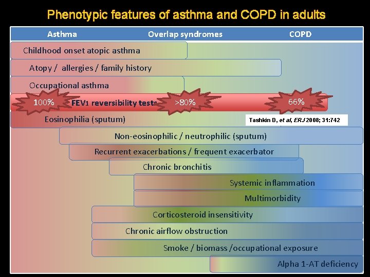 The Asthma COPD Overlap Syndrome Artists palette 2003