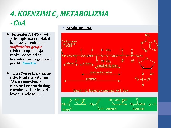 BIOREGULATORI Bioregulatori Mnogi biohemijski procesi u organizmu zavise