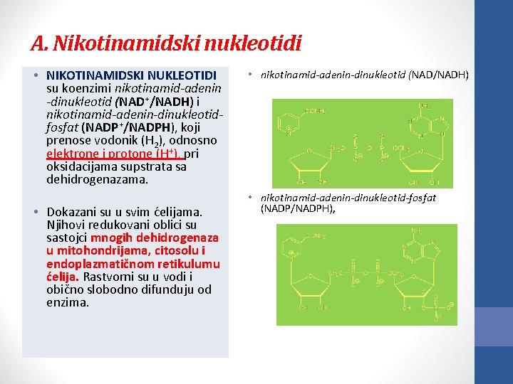 BIOREGULATORI Bioregulatori Mnogi biohemijski procesi u organizmu zavise