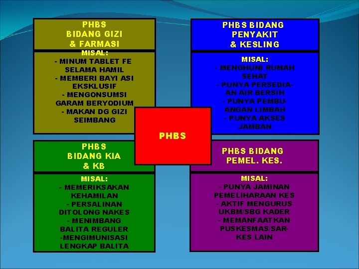 PERILAKU HIDUP BERSIH DAN SEHAT PHBS SEKSI PROMKES