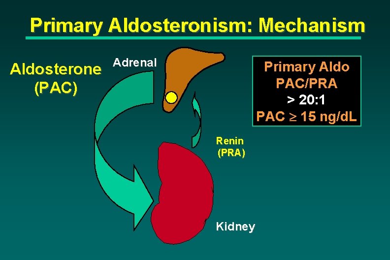 Surgical Management of Primary Aldosteronism Pheochromocytoma Clive Grant