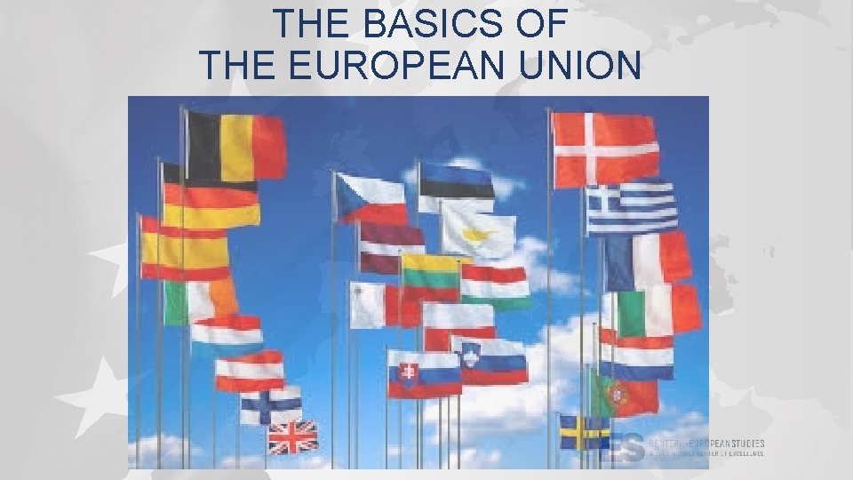 THE BASICS OF THE EUROPEAN UNION KEY WORDS
