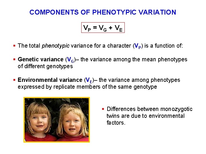 NORMAL DISTRIBUTIONS OF PHENOTYPES Mice Fruit Flies In