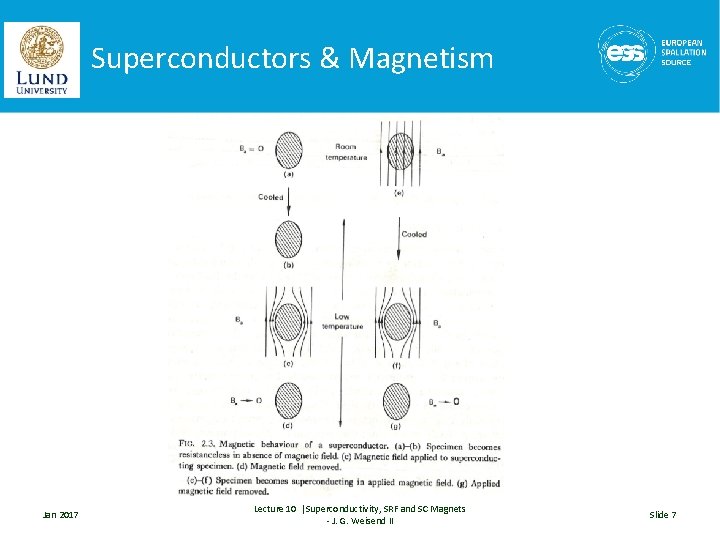 Lecture 10 Superconductivity Superconducting RF Superconducting Magnets J
