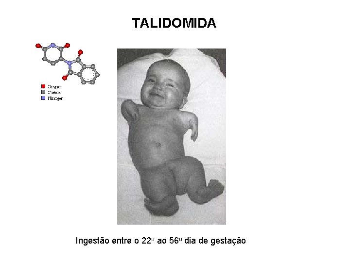 III SEMANA DE DESENVOLVIMENTO EMBRIONRIO E MALFORMAES FINAL