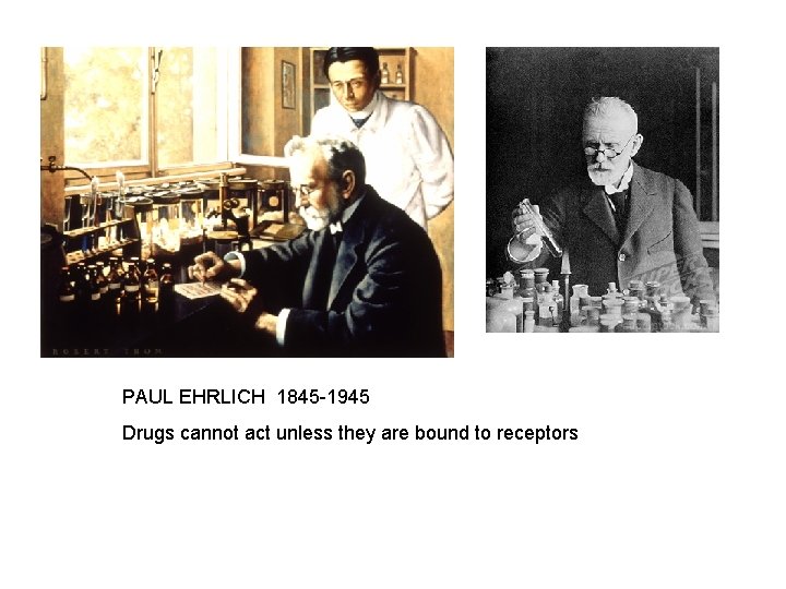 DRUG RECEPTORS AND PHARMACODYNAMICS PAUL EHRLICH 1845 1945