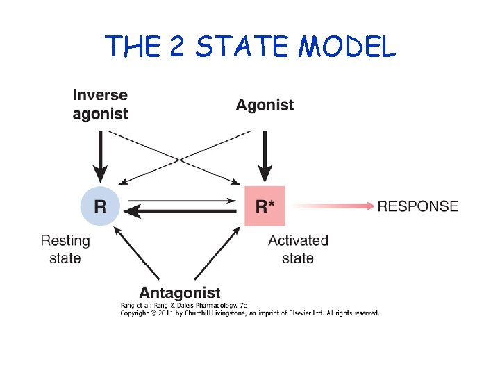 DRUG RECEPTORS AND PHARMACODYNAMICS PAUL EHRLICH 1845 1945