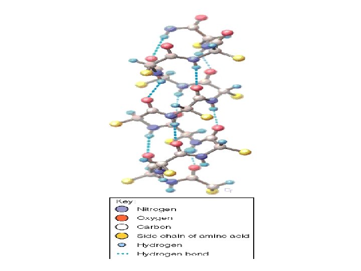 DRUG RECEPTORS AND PHARMACODYNAMICS PAUL EHRLICH 1845 1945
