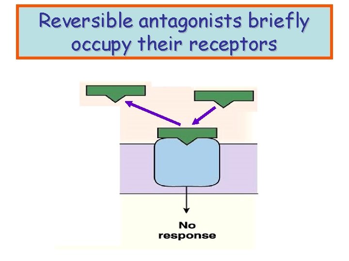DRUG RECEPTORS AND PHARMACODYNAMICS PAUL EHRLICH 1845 1945