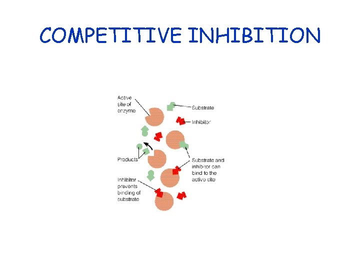 DRUG RECEPTORS AND PHARMACODYNAMICS PAUL EHRLICH 1845 1945