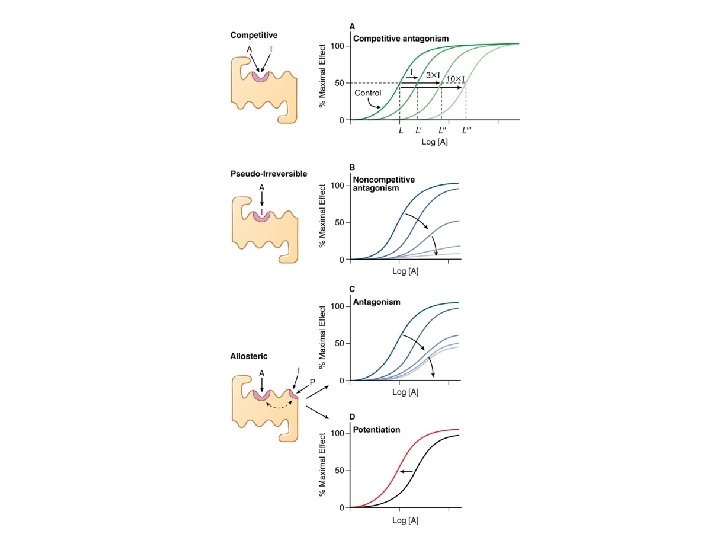 DRUG RECEPTORS AND PHARMACODYNAMICS PAUL EHRLICH 1845 1945