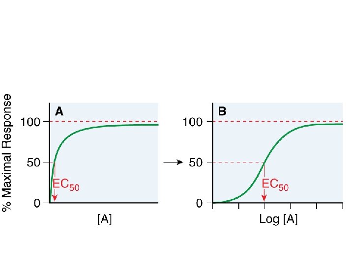 DRUG RECEPTORS AND PHARMACODYNAMICS PAUL EHRLICH 1845 1945