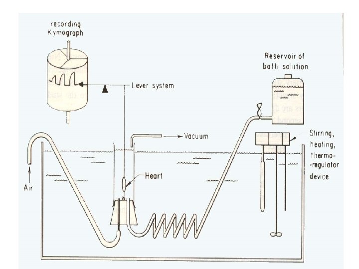 DRUG RECEPTORS AND PHARMACODYNAMICS PAUL EHRLICH 1845 1945