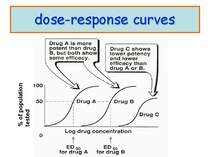 DRUG RECEPTORS AND PHARMACODYNAMICS PAUL EHRLICH 1845 1945