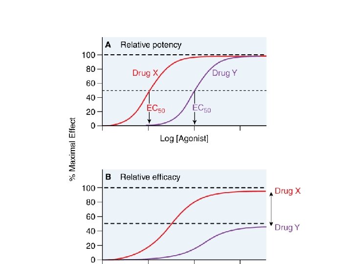 DRUG RECEPTORS AND PHARMACODYNAMICS PAUL EHRLICH 1845 1945