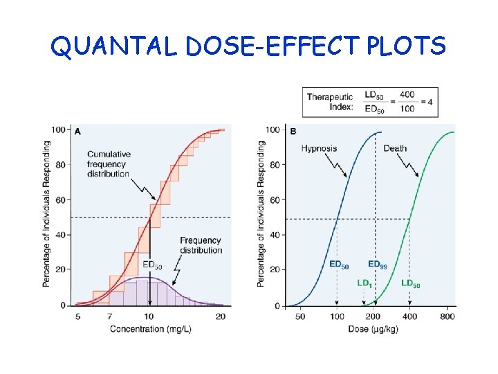 DRUG RECEPTORS AND PHARMACODYNAMICS PAUL EHRLICH 1845 1945