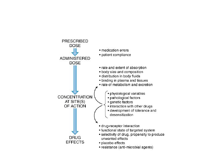 DRUG RECEPTORS AND PHARMACODYNAMICS PAUL EHRLICH 1845 1945