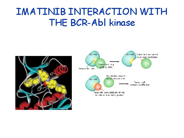 DRUG RECEPTORS AND PHARMACODYNAMICS PAUL EHRLICH 1845 1945
