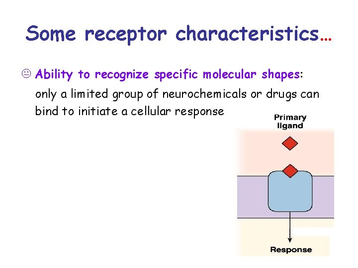 DRUG RECEPTORS AND PHARMACODYNAMICS PAUL EHRLICH 1845 1945